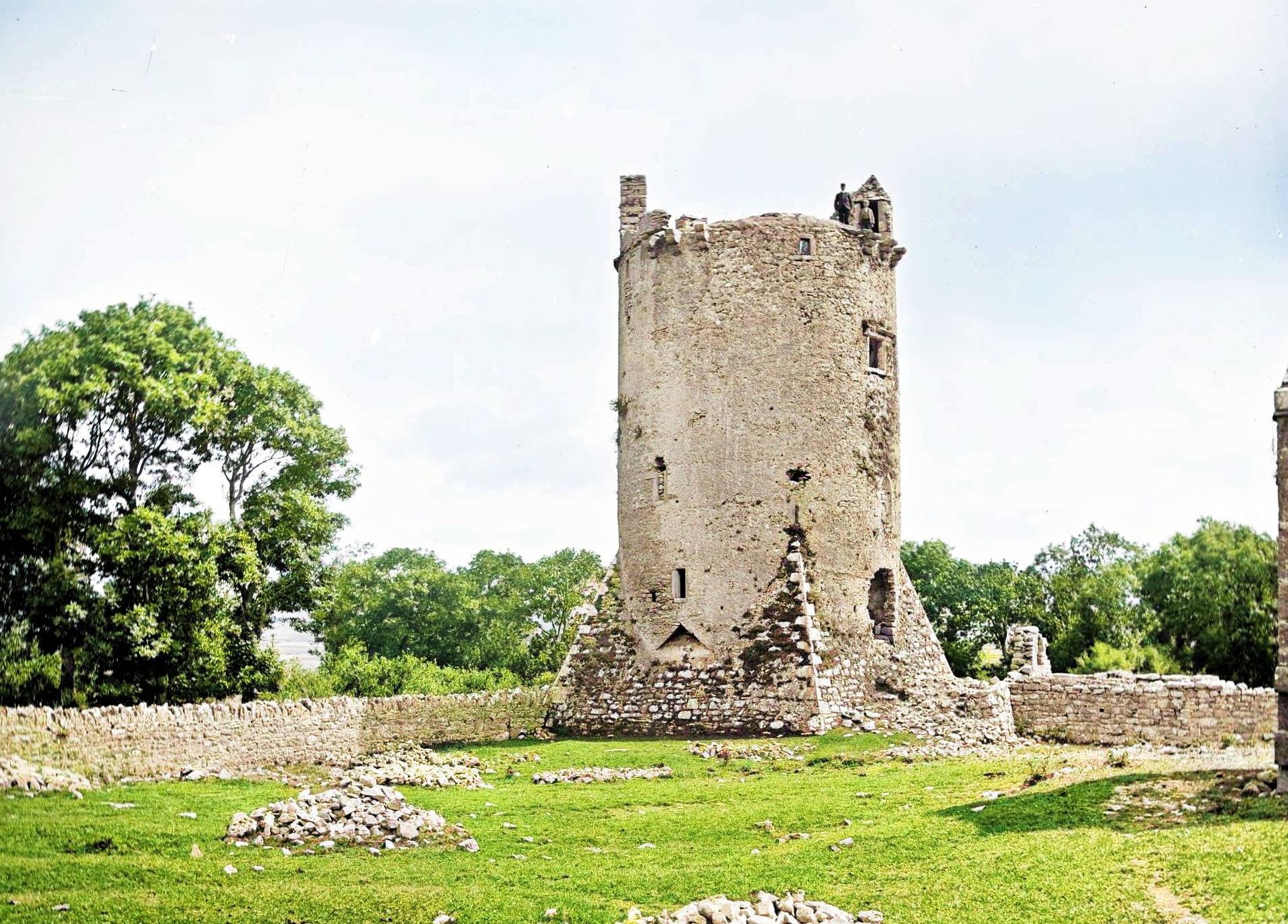 Discover the Rich History of Newtown Castle, Clare: A Jewel of ...