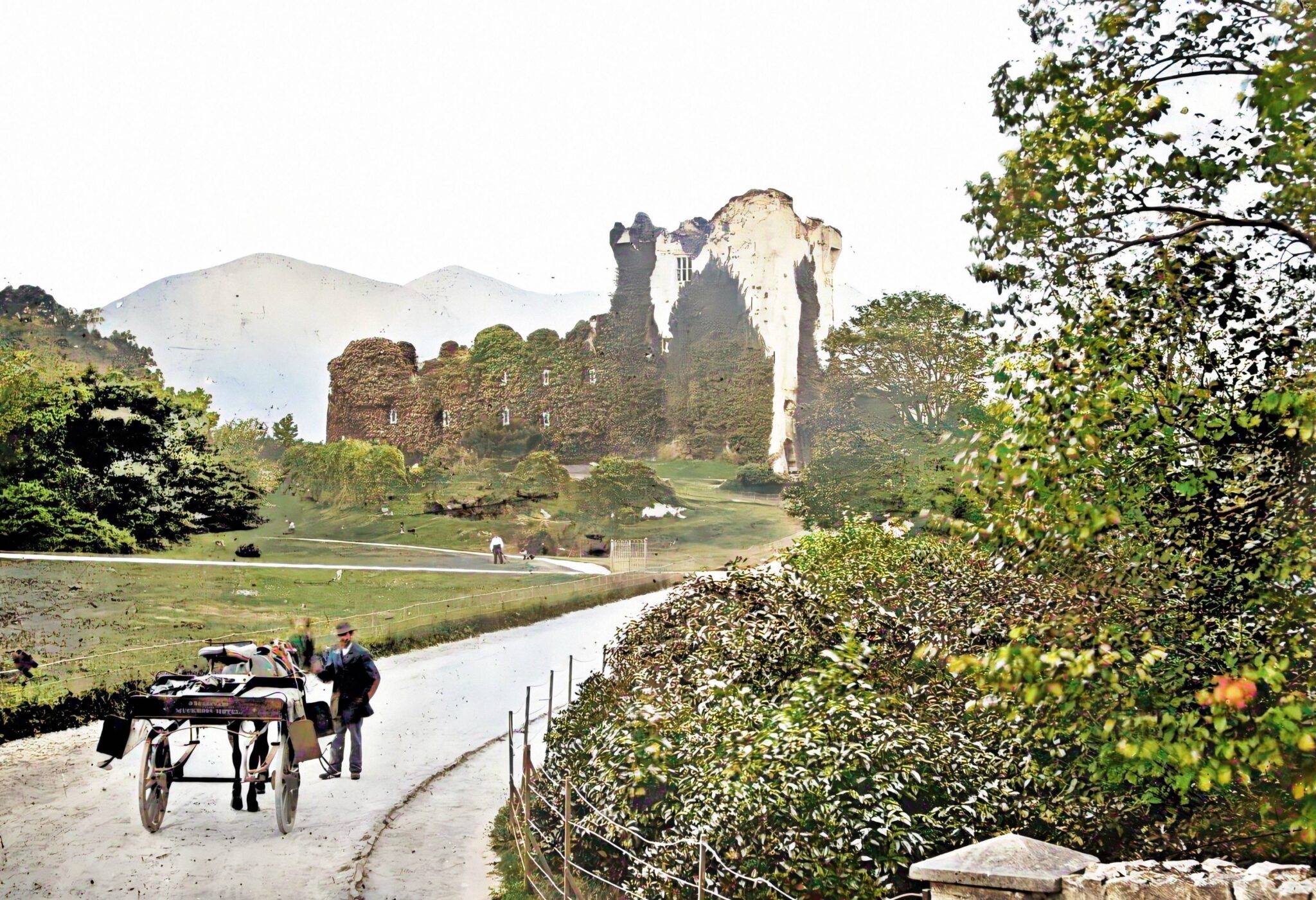 History of Ross Castle, Killarney, Co. Kerry - IrishHistory.com